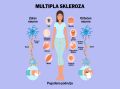Multiple,Sclerosis,Anatomical,Vector,Illustration,Diagram,,Medical ...