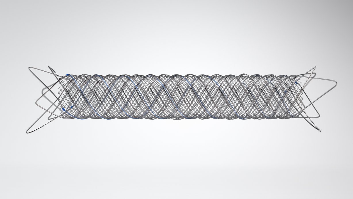 CASPER RX Carotid Artery Stent